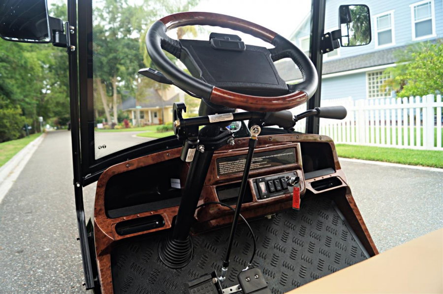 Golf Cart Push & Pull Hand Controls for Disabled Drivers | Moto ...